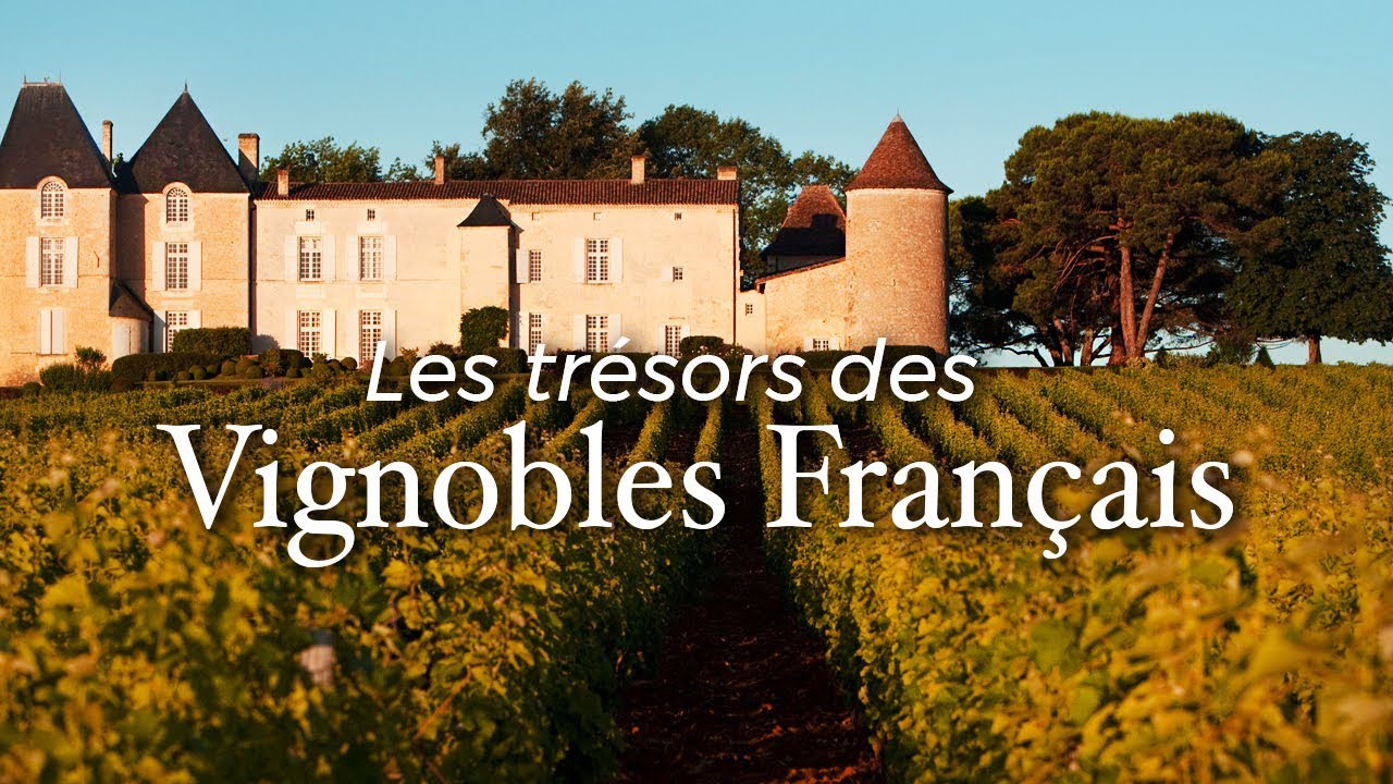 Les trésors des vignobles français - Déménager à Bordeaux
